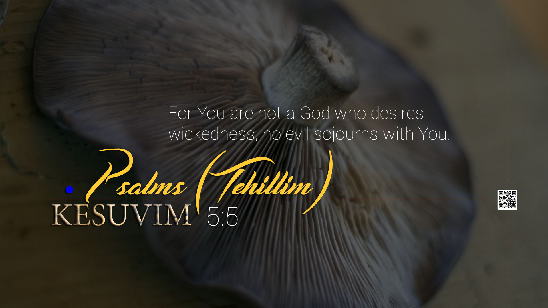 Psalms (Book I) | This Is TRUTH