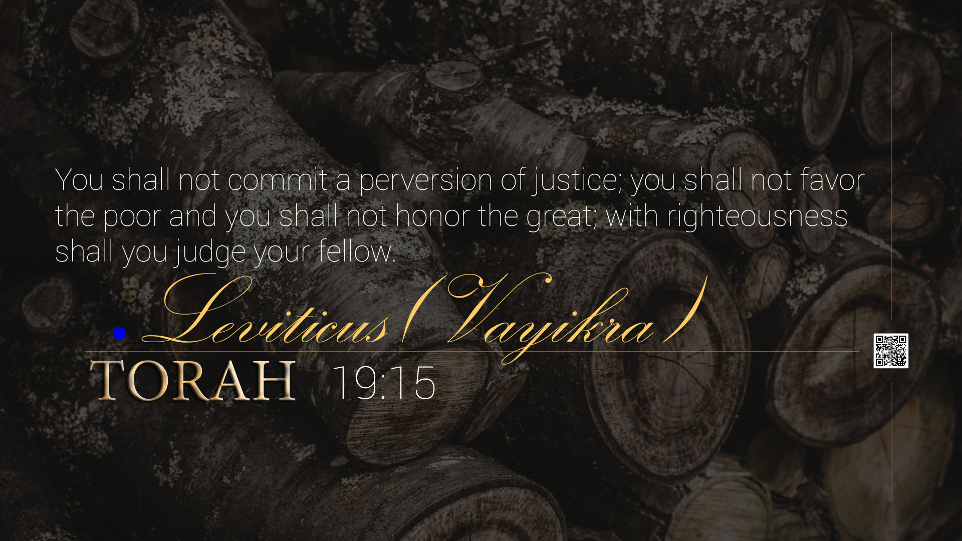 Daily Holy Bible Reading | One Chapter A Day