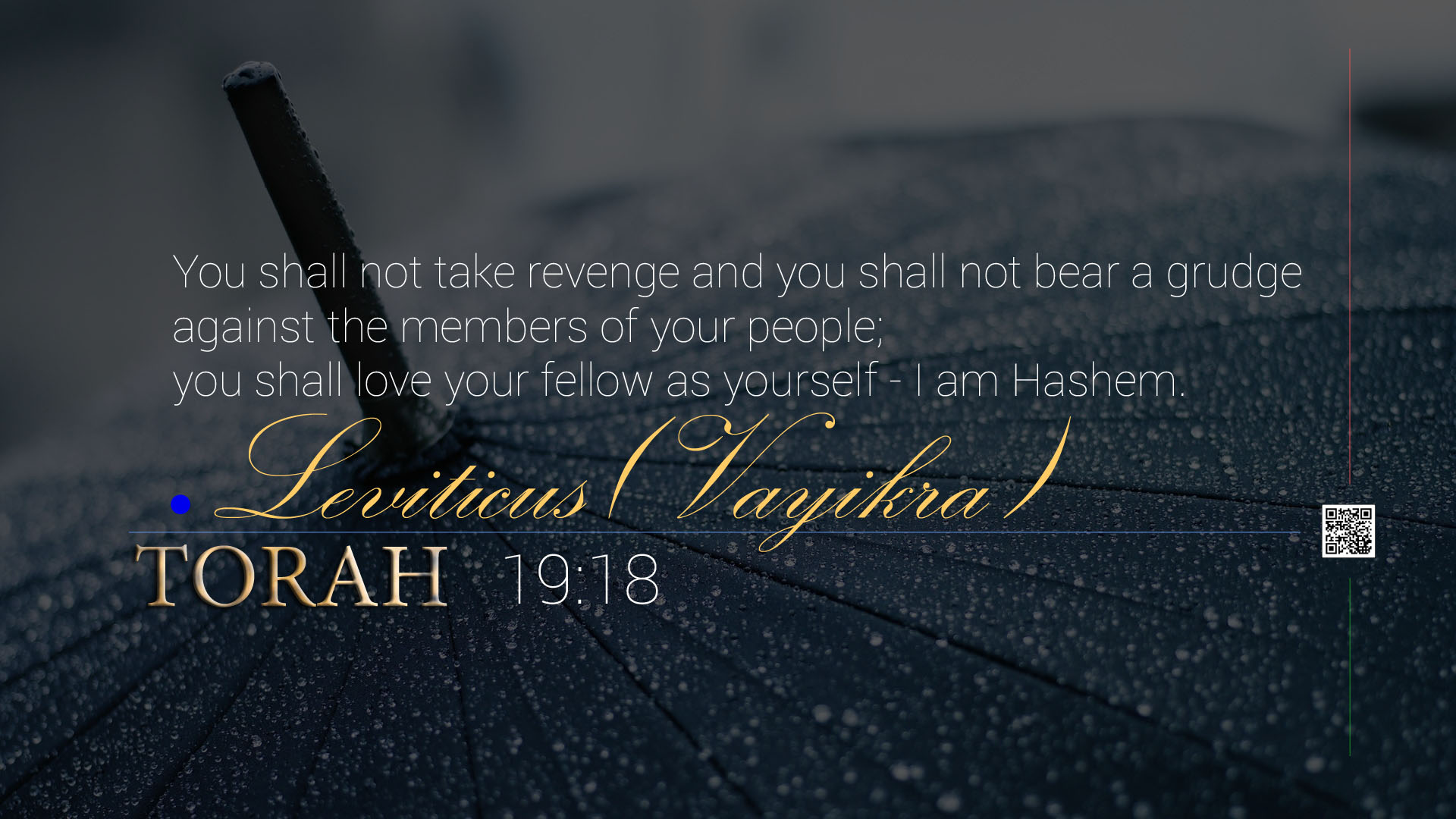 Daily Holy Bible Reading | One Chapter A Day