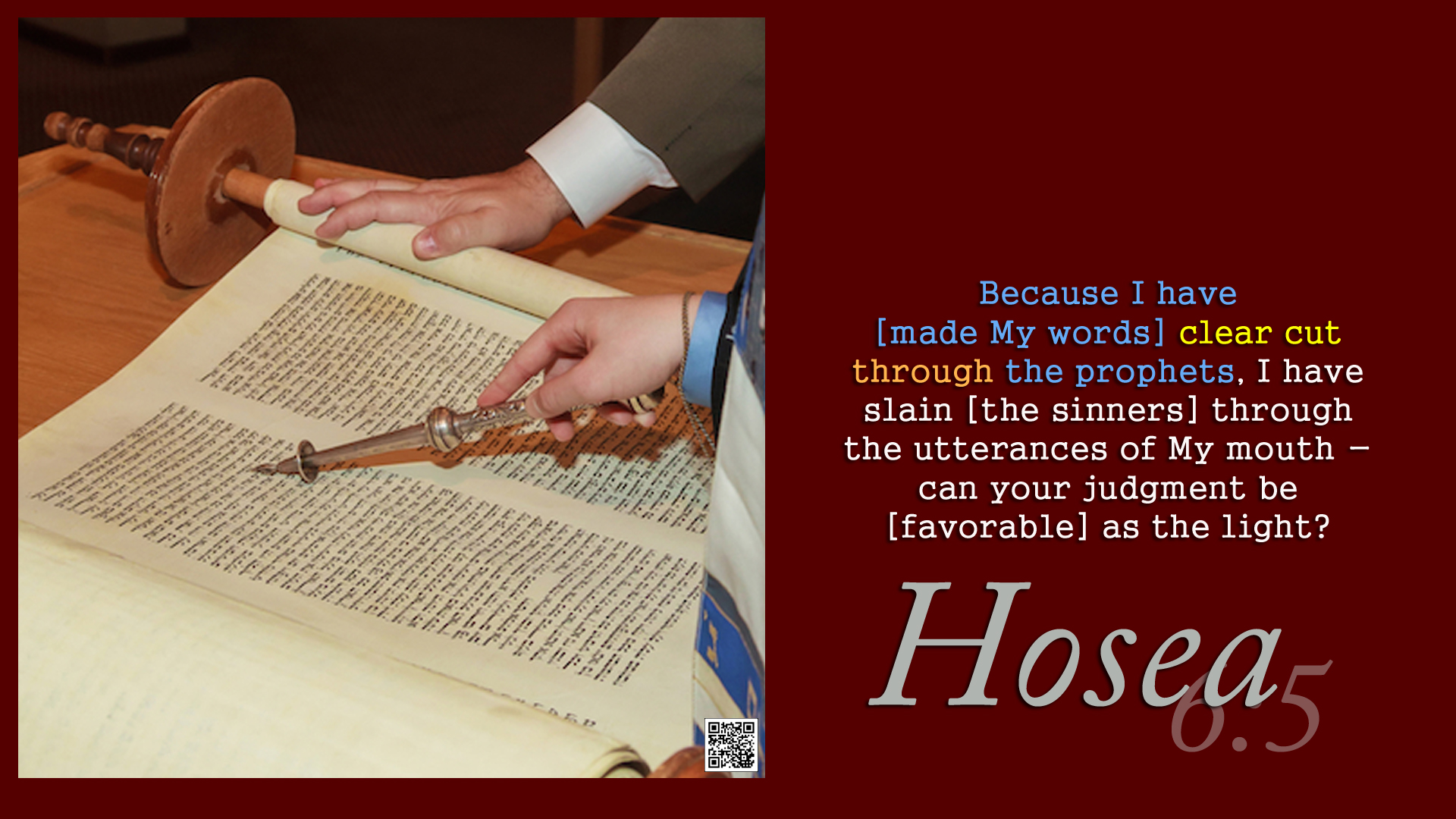 Neviim | www.dailyholybiblereading.com