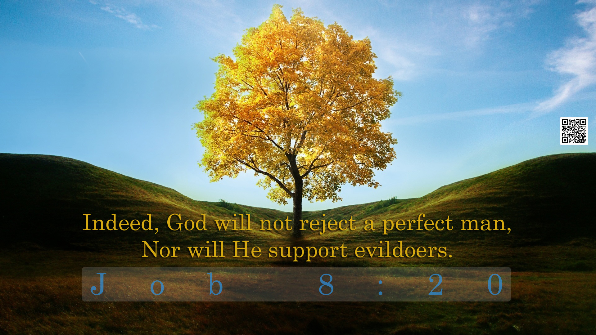 JOB Chapter 31 | This Is TRUTH