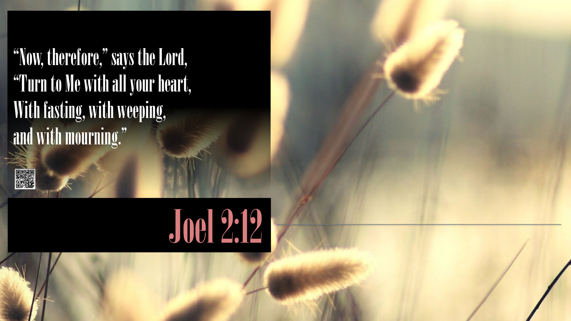 Joel | Daily Holy Bible Reading