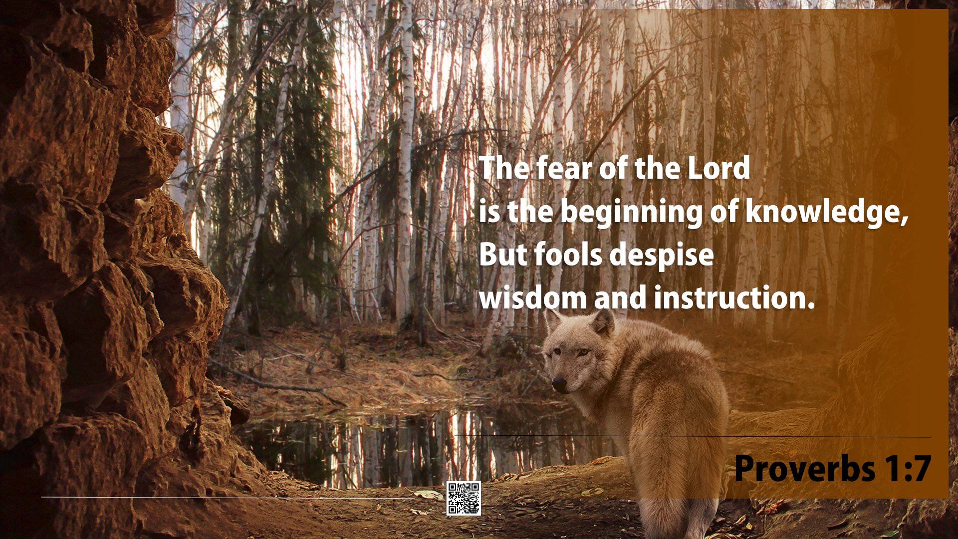 Proverbs Chapter 1 Daily Holy Bible Reading