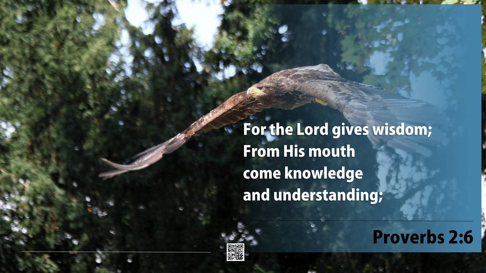 Proverbs 2.6 | This Is TRUTH