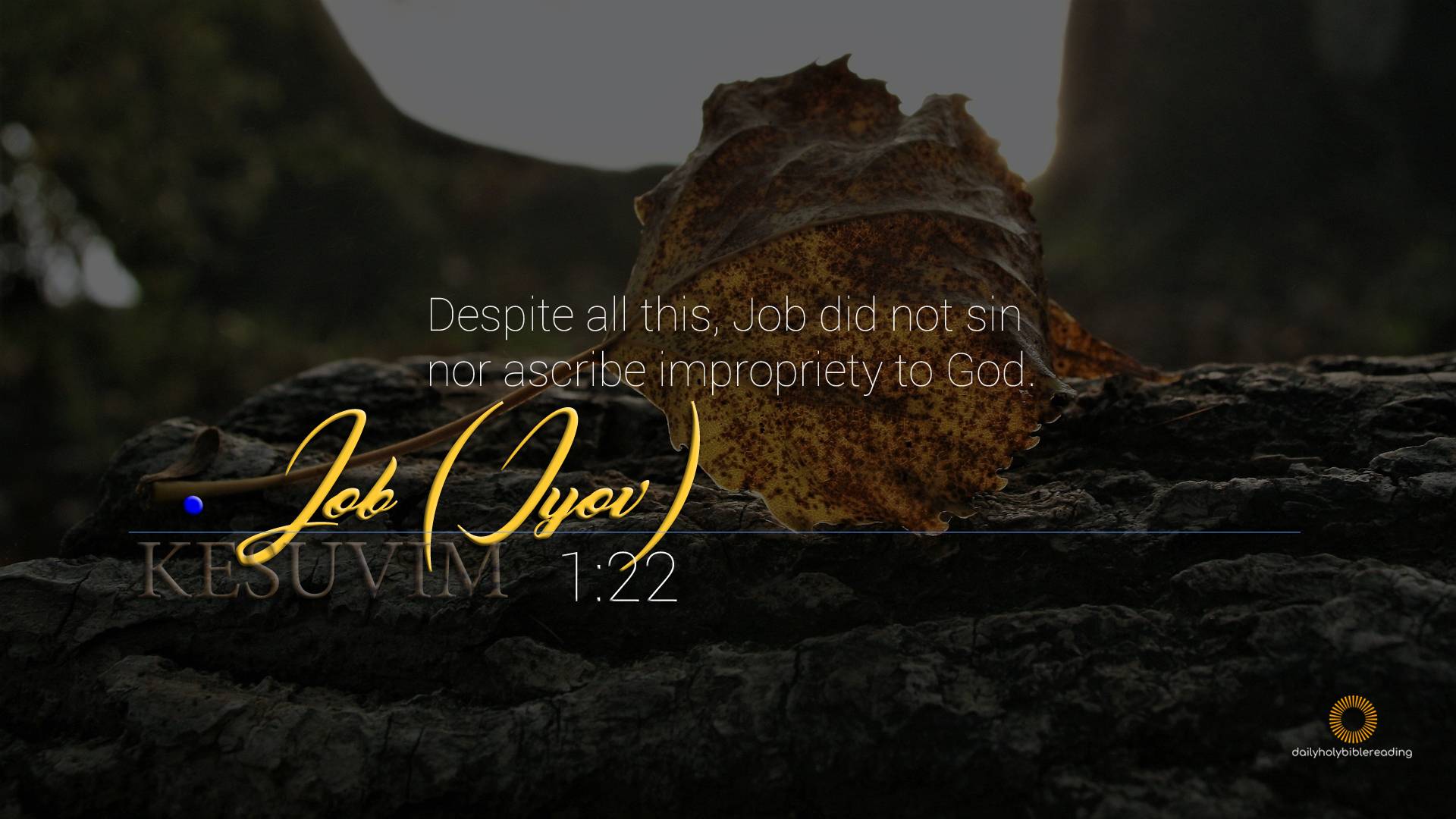 Job | Daily Holy Bible Reading