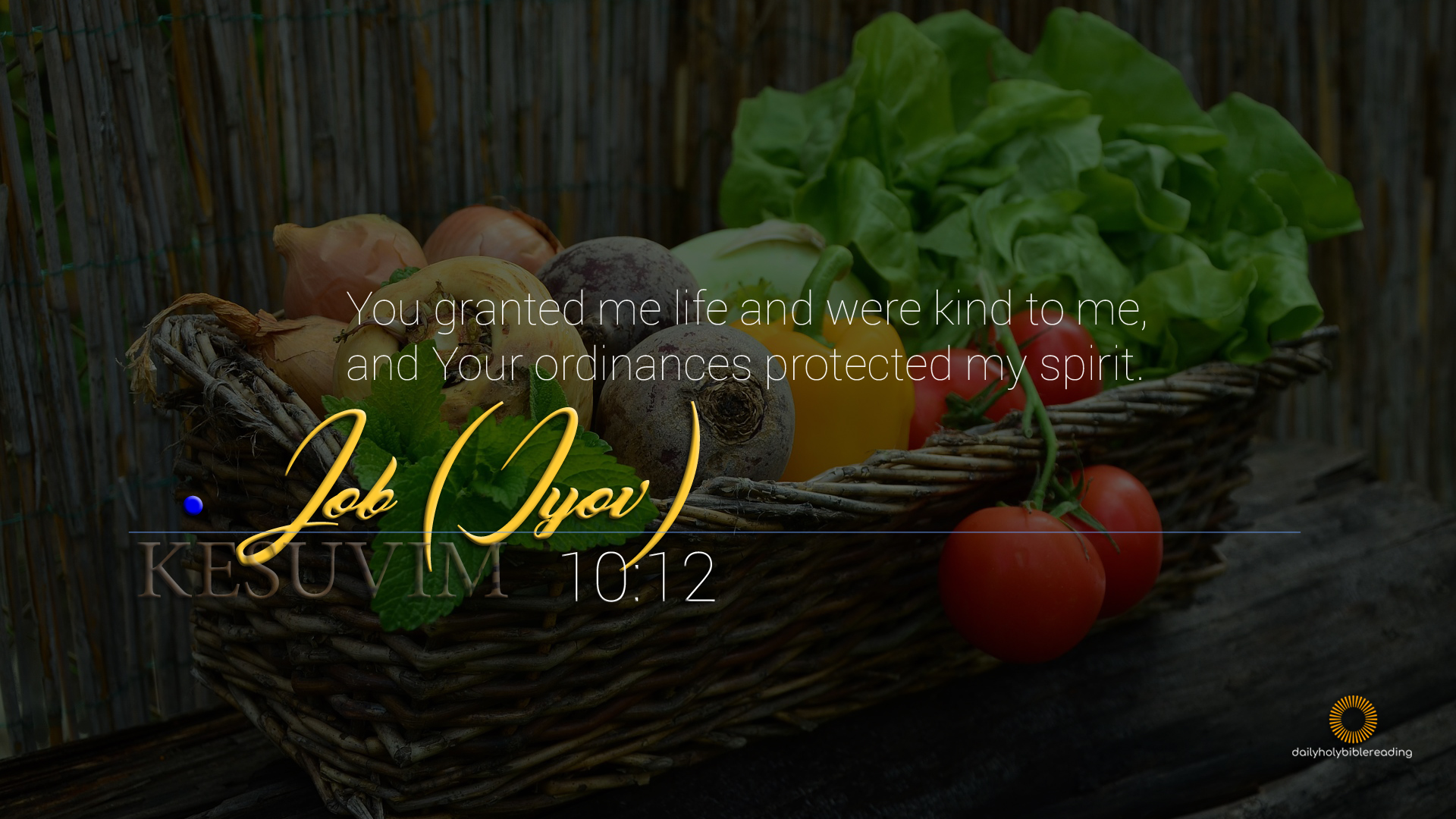 JOB Chapter 10 | This Is TRUTH