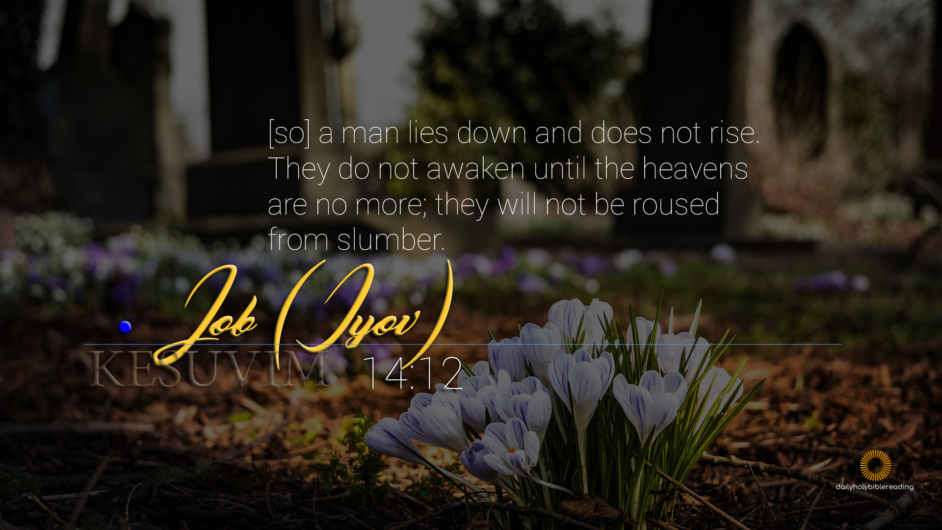 JOB Chapter 14 | This Is TRUTH