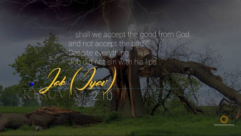 JOB Chapter 31 | This Is TRUTH