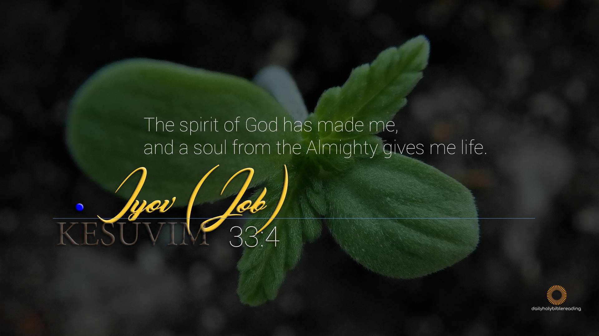 Job | Daily Holy Bible Reading