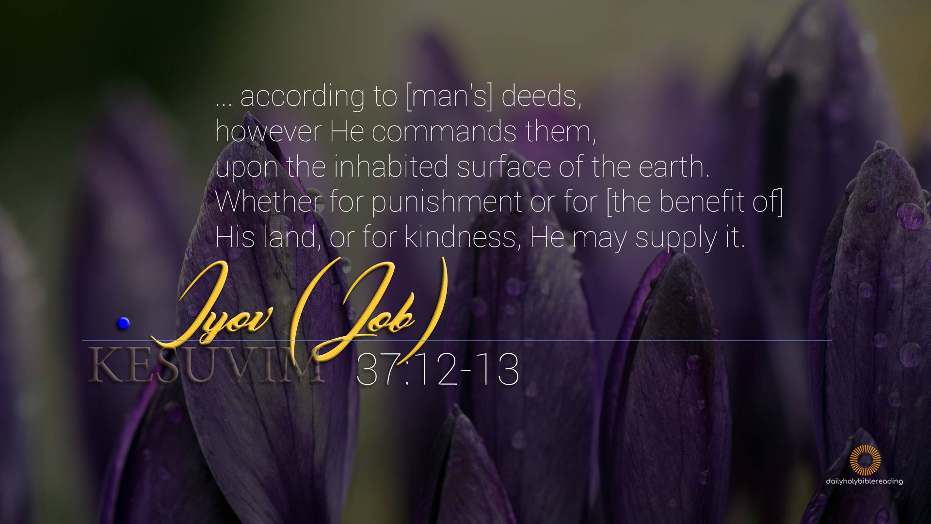 JOB Chapter 37 | This Is TRUTH