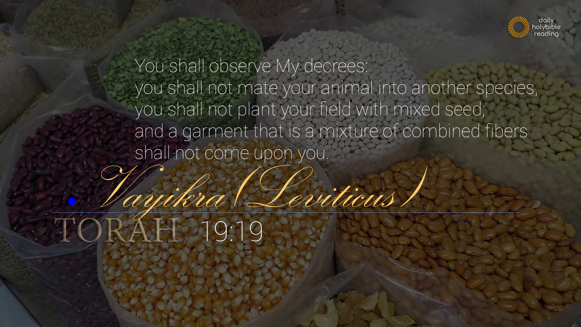 Holy Bible Reading | Daily Holy Bible Reading