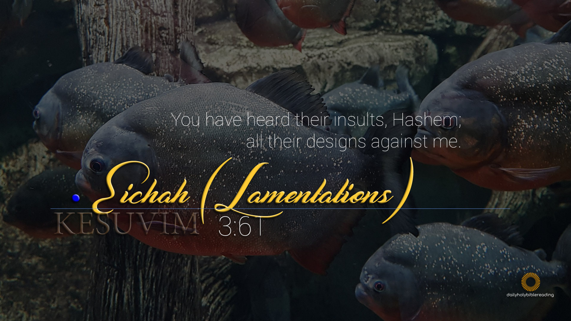 Lamentations | This Is TRUTH