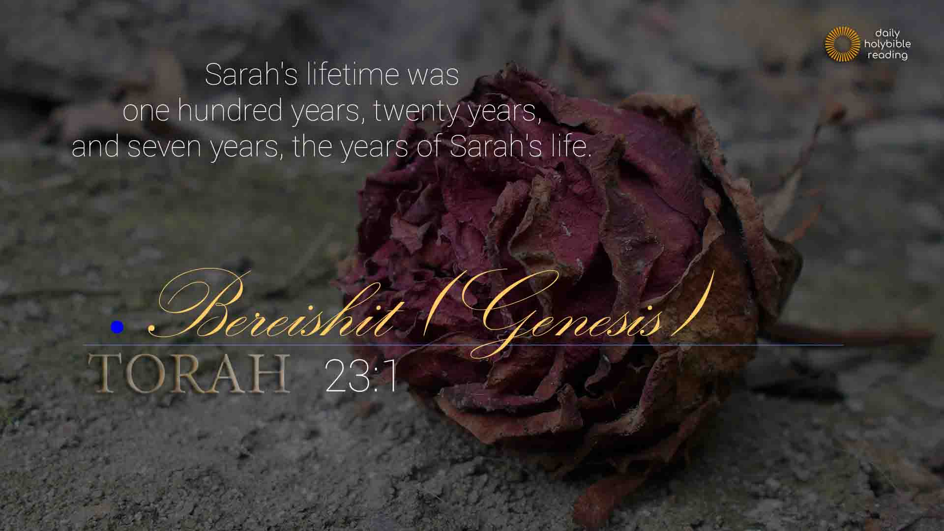 GENESIS Chapter 29 | Daily Holy Bible Reading