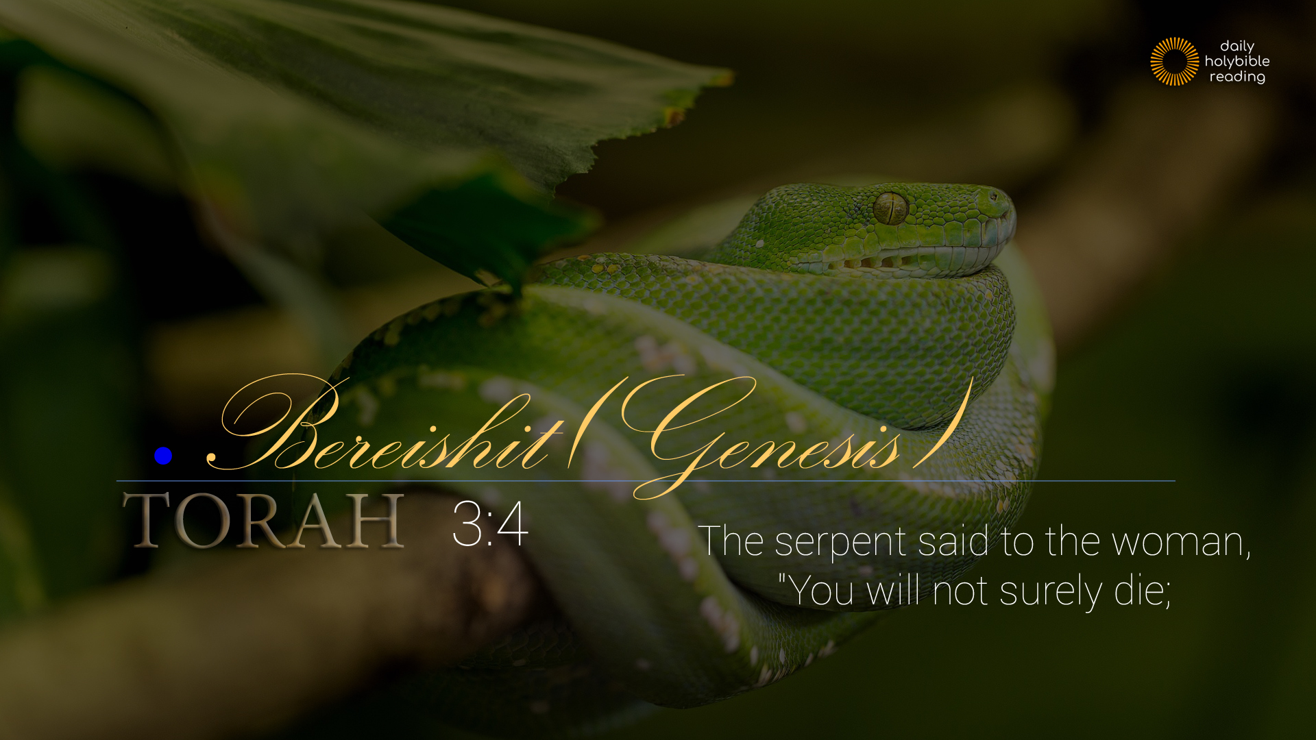 GENESIS Chapter 4 | Daily Holy Bible Reading