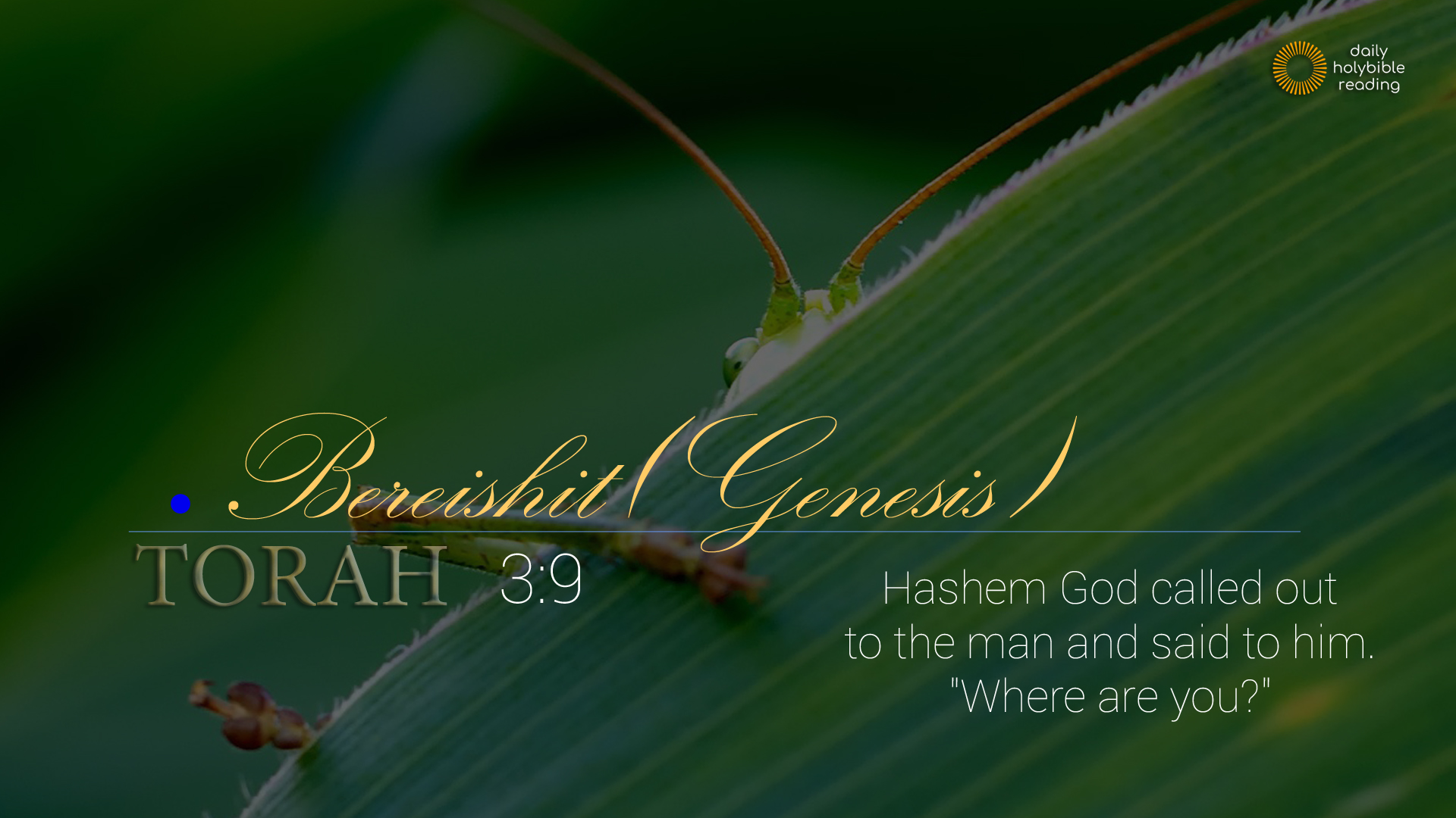 Genesis | This Is TRUTH