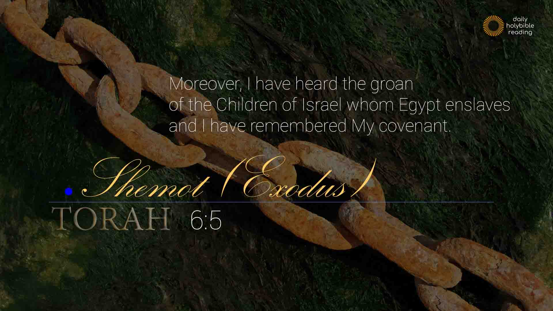 EXODUS Chapter 8 | Daily Holy Bible Reading