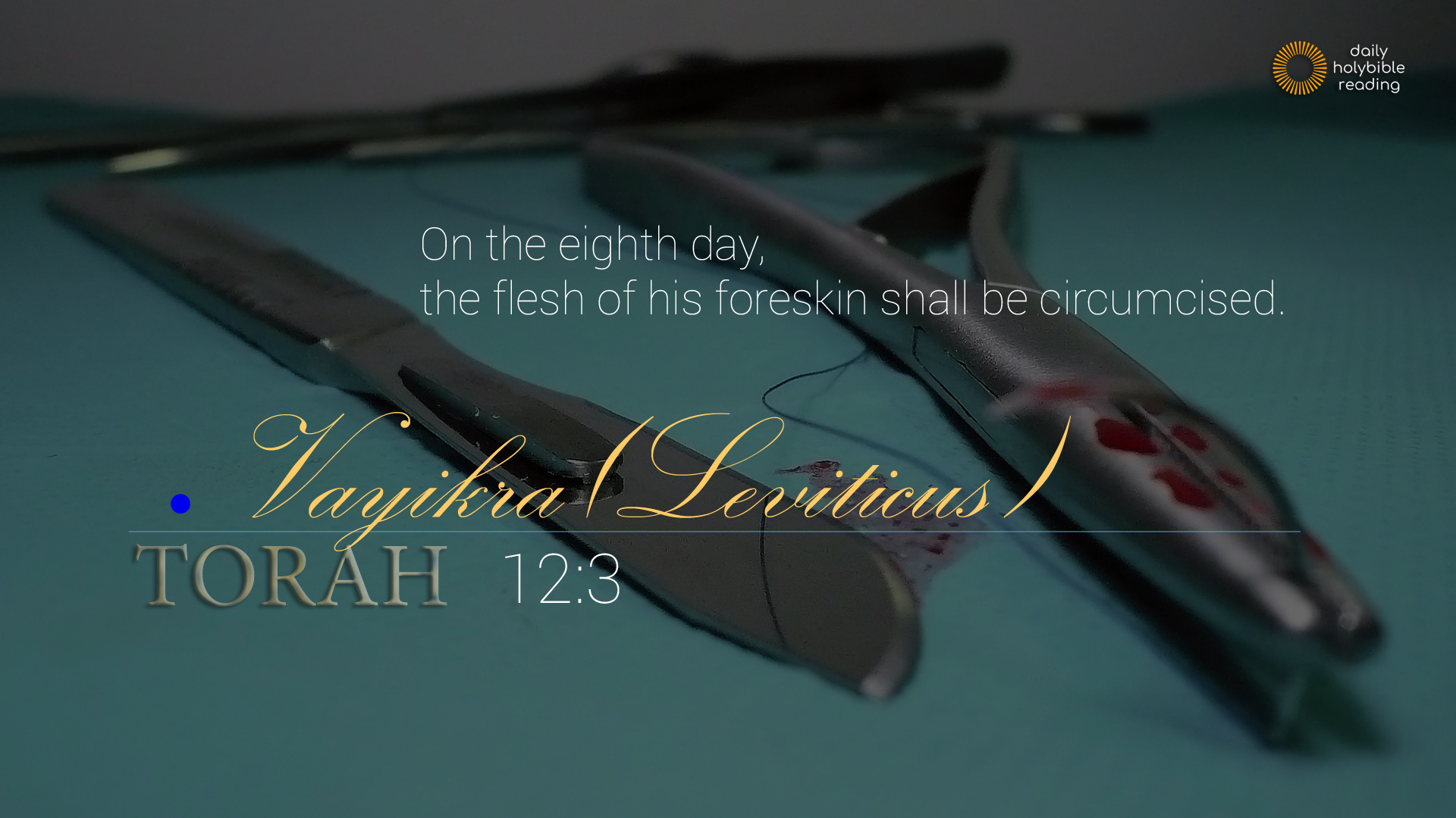 LEVITICUS Chapter 12 | Daily Holy Bible Reading