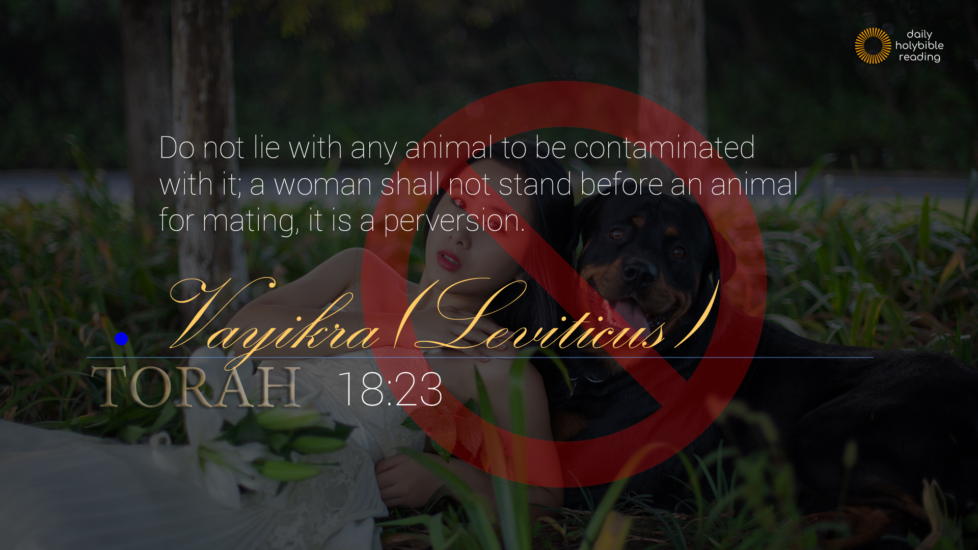LEVITICUS Chapter 24 | Daily Holy Bible Reading
