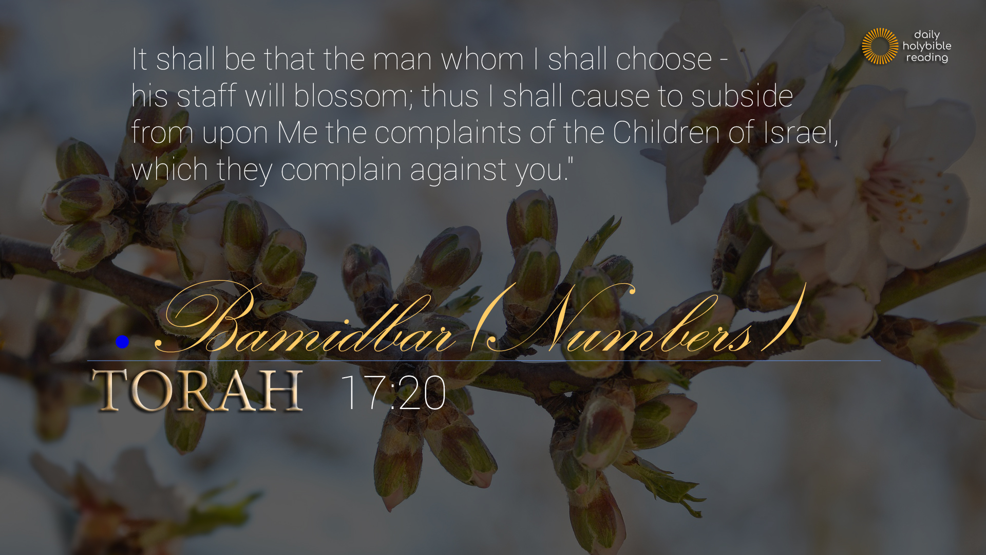 Bamidbar (NUMBERS) | This Is TRUTH