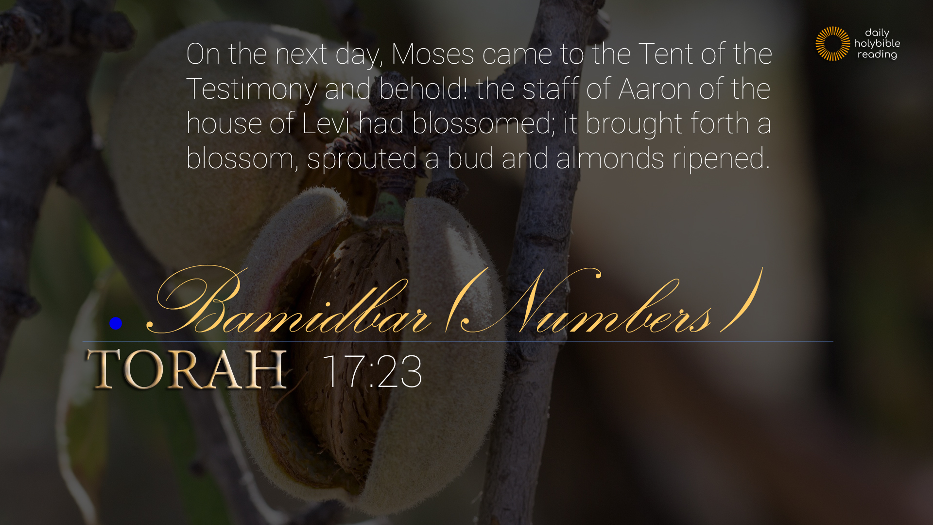 NUMBERS Chapter 17 | Daily Holy Bible Reading