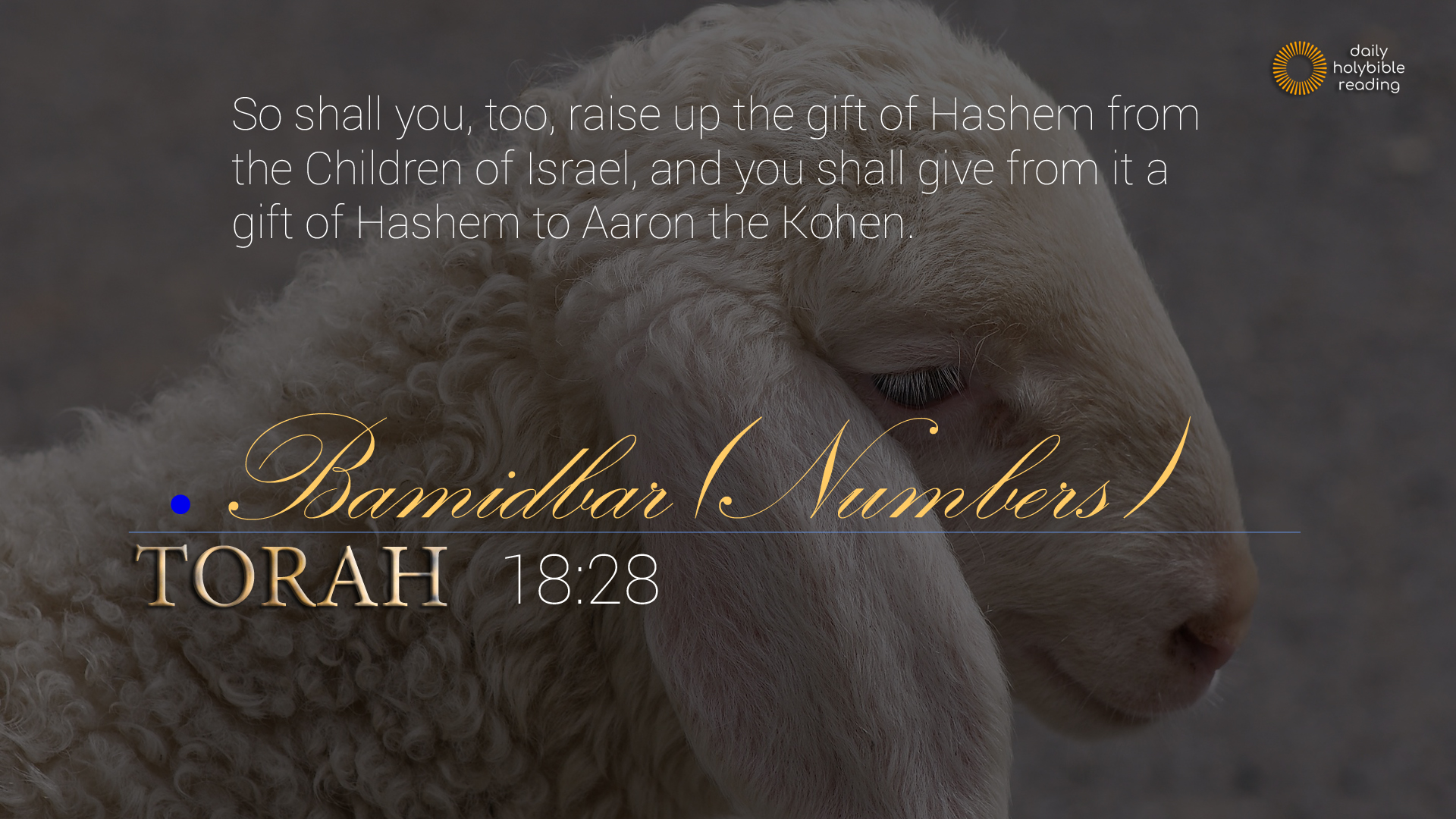 NUMBERS Chapter 1 | Daily Holy Bible Reading