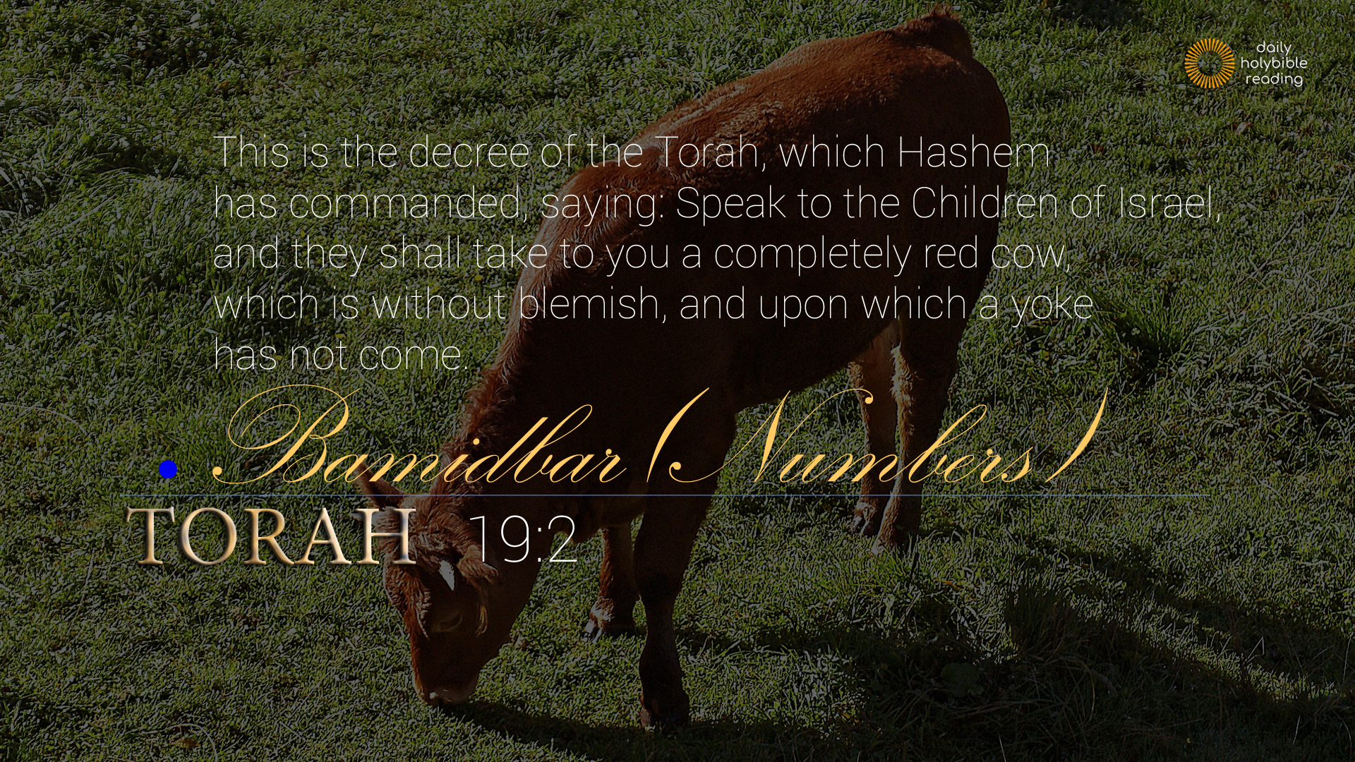 NUMBERS Chapter 19 | Daily Holy Bible Reading