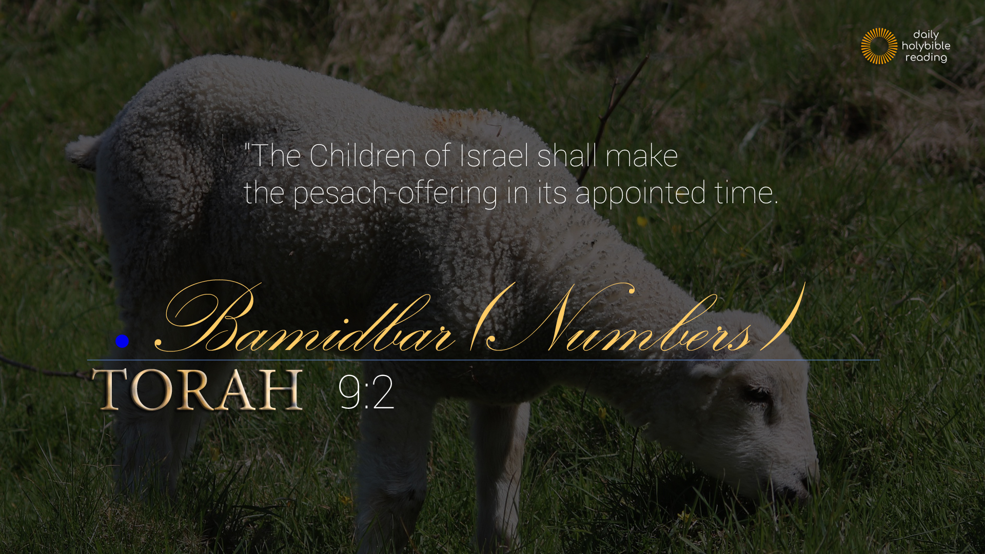 Bamidbar (NUMBERS) | This Is TRUTH