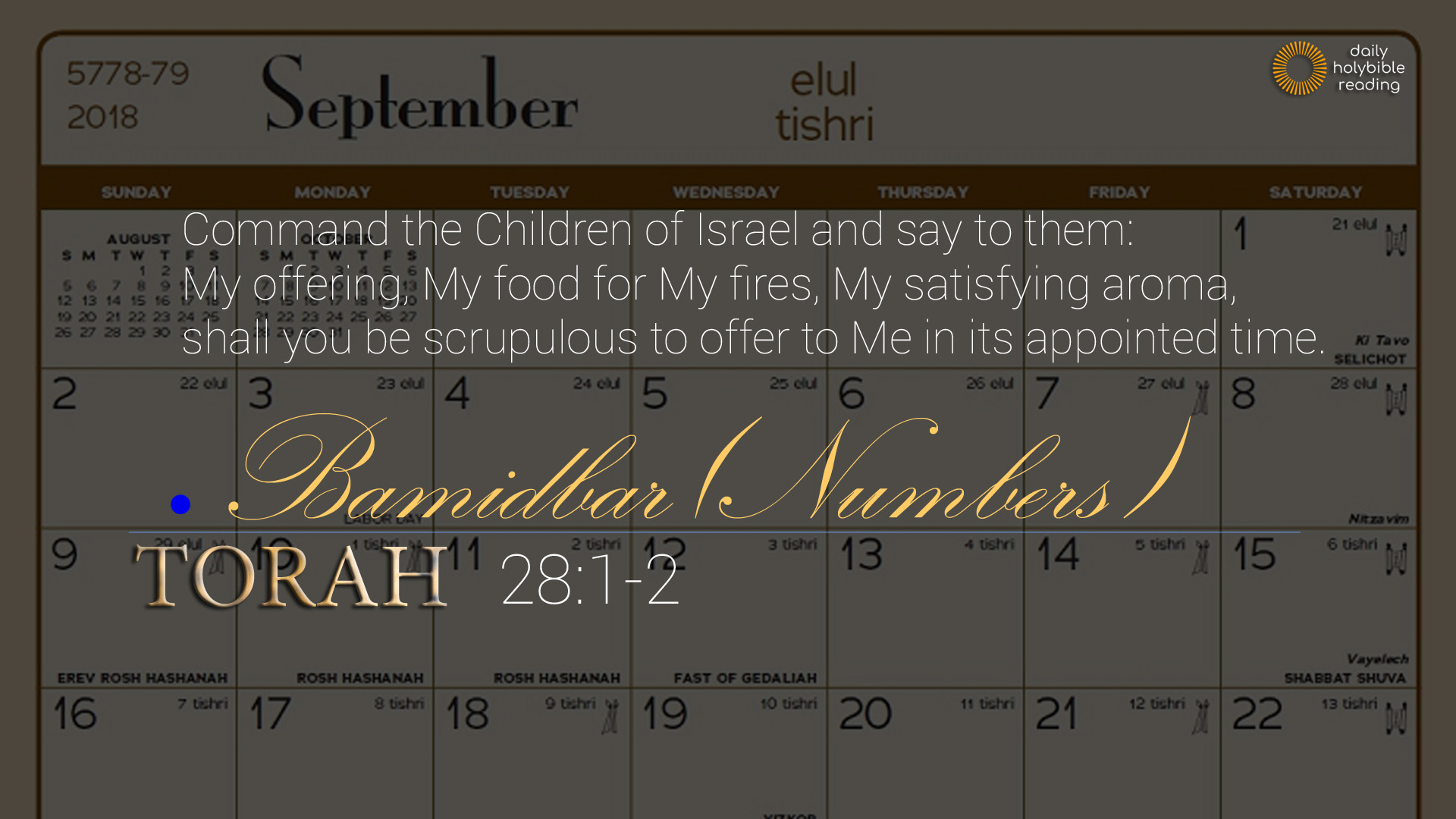 Bamidbar (NUMBERS) | This Is TRUTH