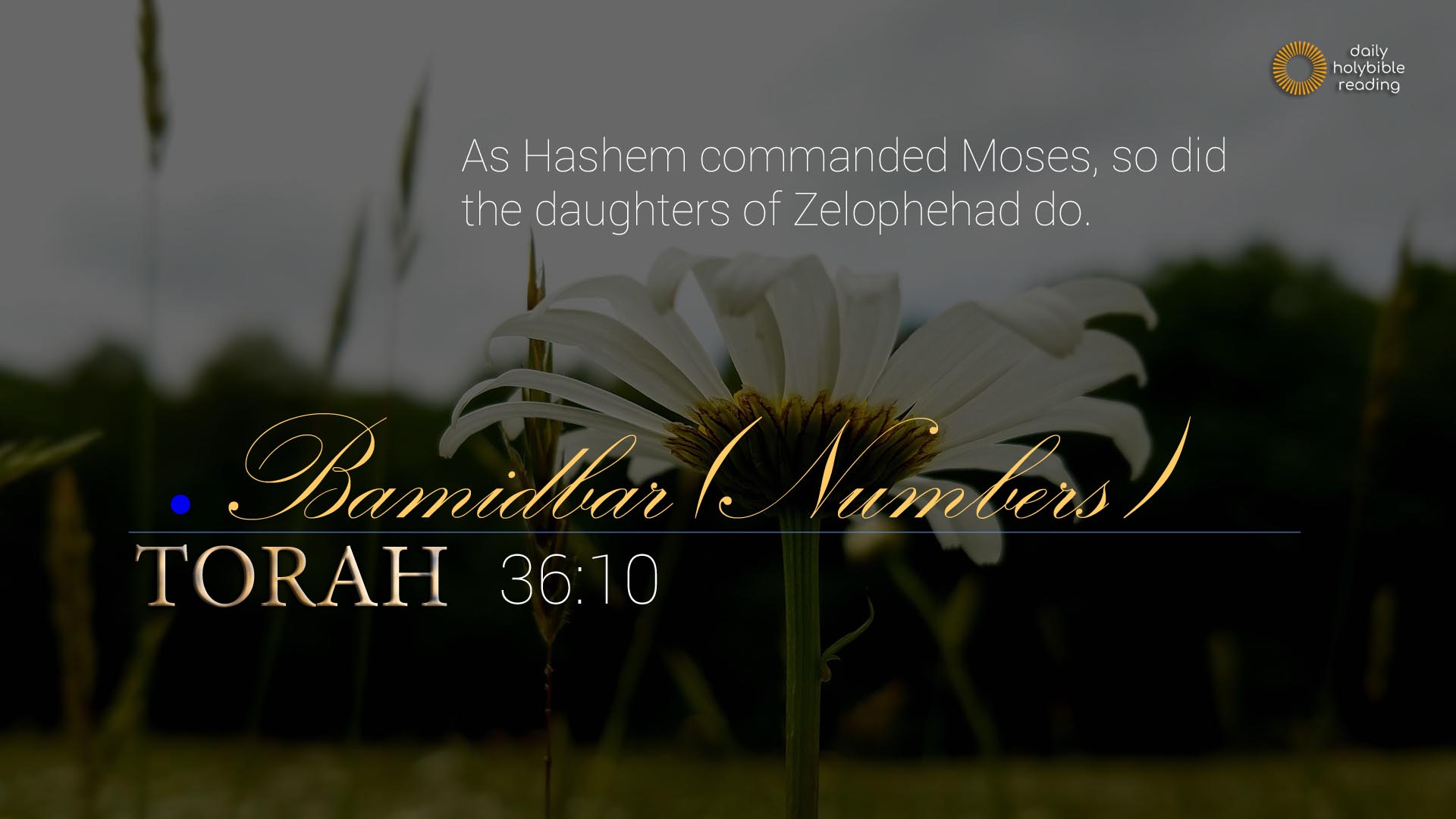 NUMBERS Chapter 36 | Daily Holy Bible Reading