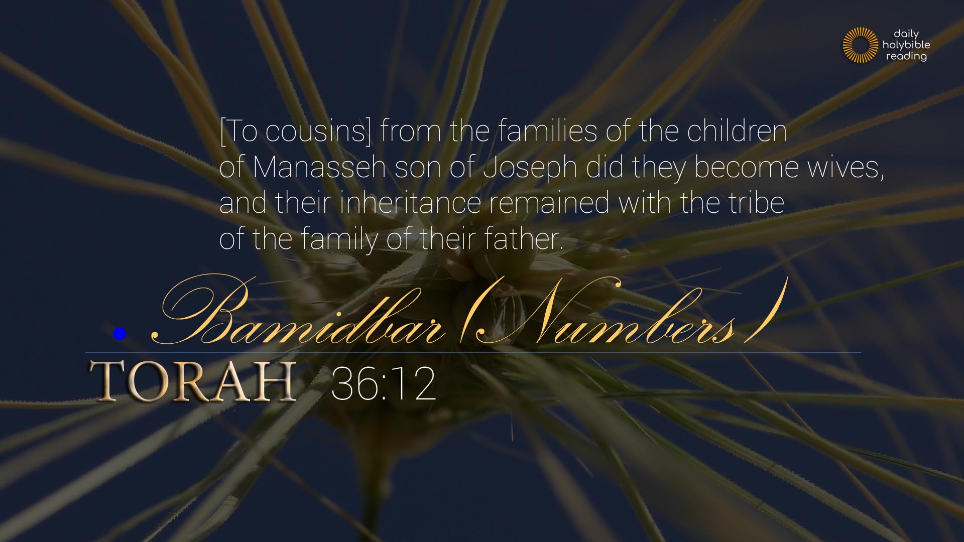 Bamidbar (NUMBERS) | This Is TRUTH