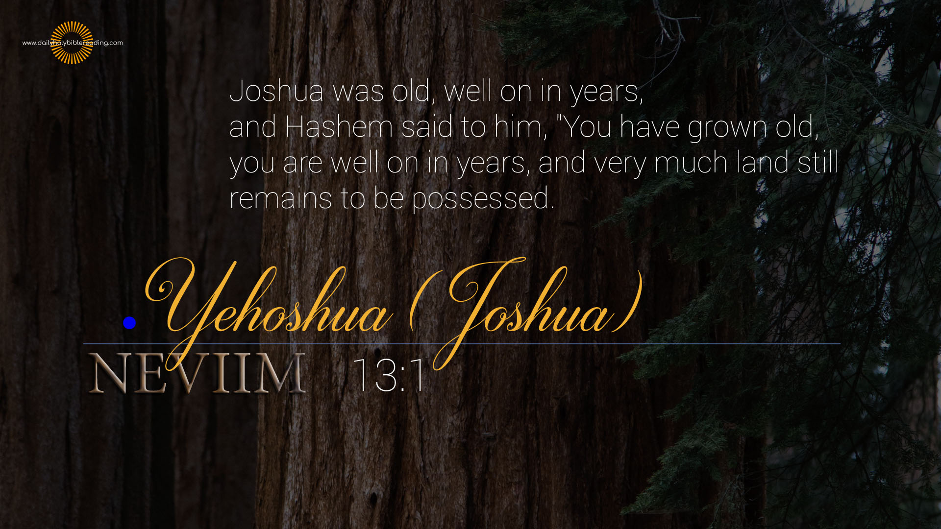 Jehoshua (JOSHUA) | This Is TRUTH