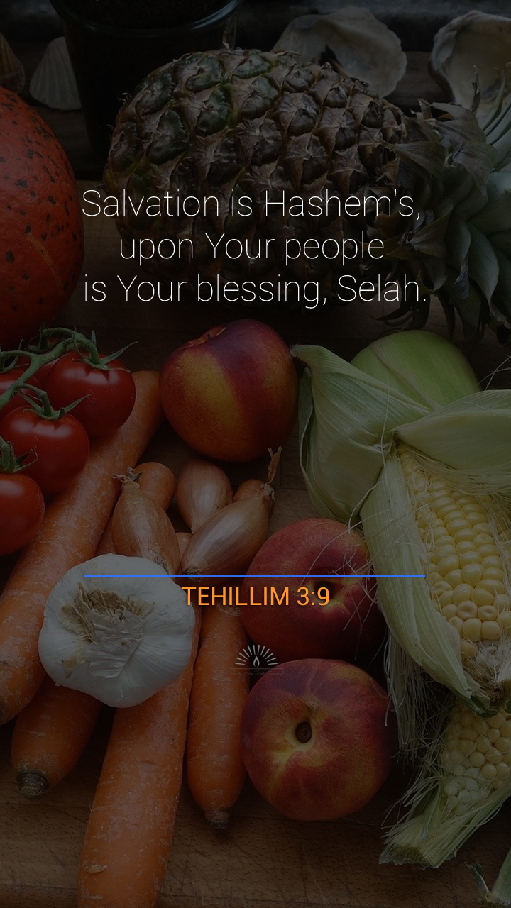 Psalms Chapter 3 | Daily Holy Bible Reading