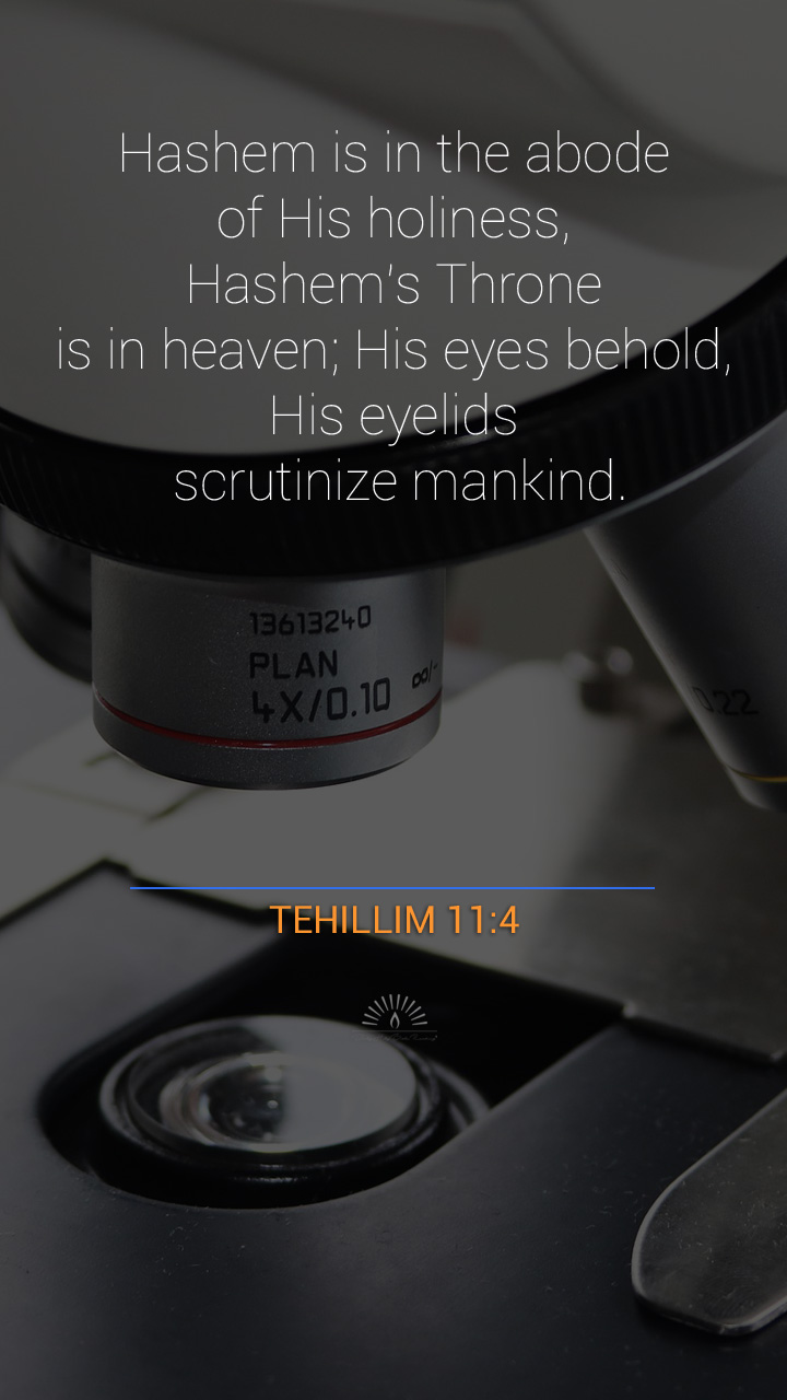 Psalms Chapter 11 | Daily Holy Bible Reading