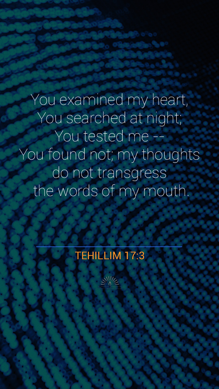 Psalms Chapter 17 | Daily Holy Bible Reading