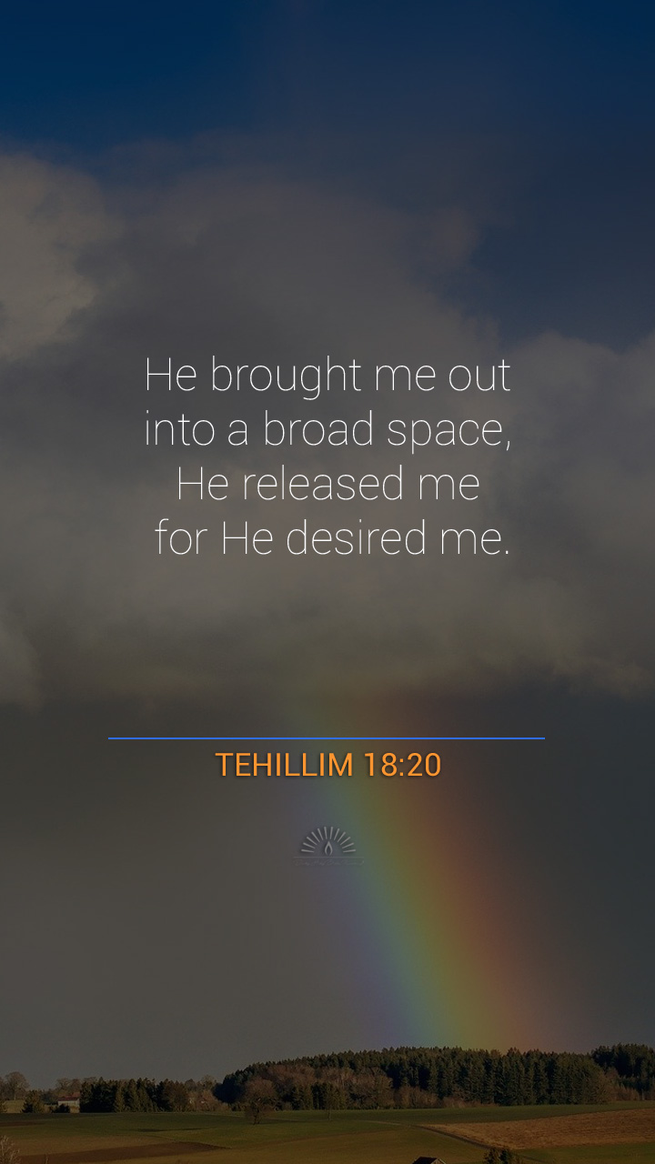Psalms Chapter 18 | Daily Holy Bible Reading