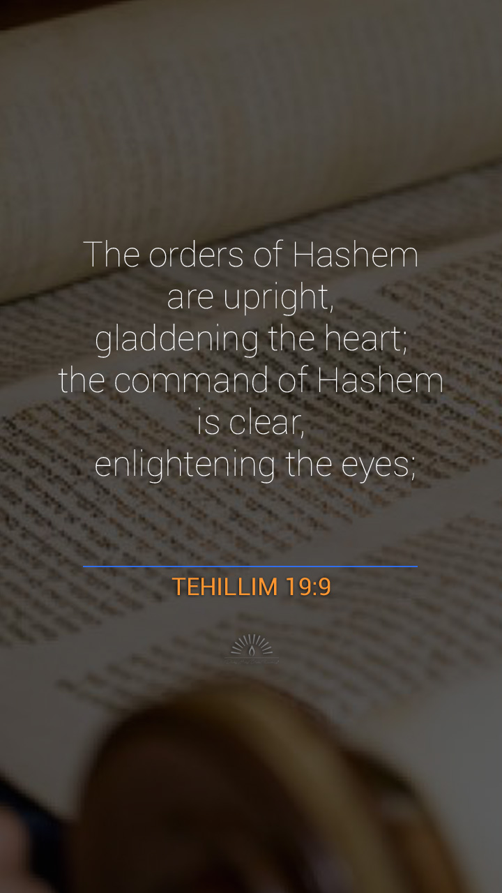 Psalms Chapter 19 | Daily Holy Bible Reading