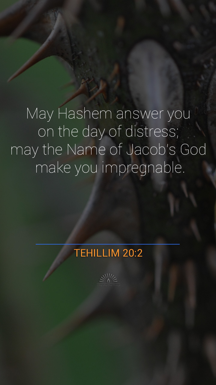 Psalms Chapter 20 | Daily Holy Bible Reading