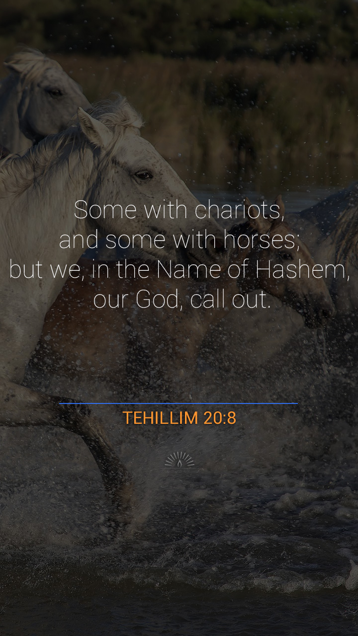 Psalms Chapter 20 | Daily Holy Bible Reading