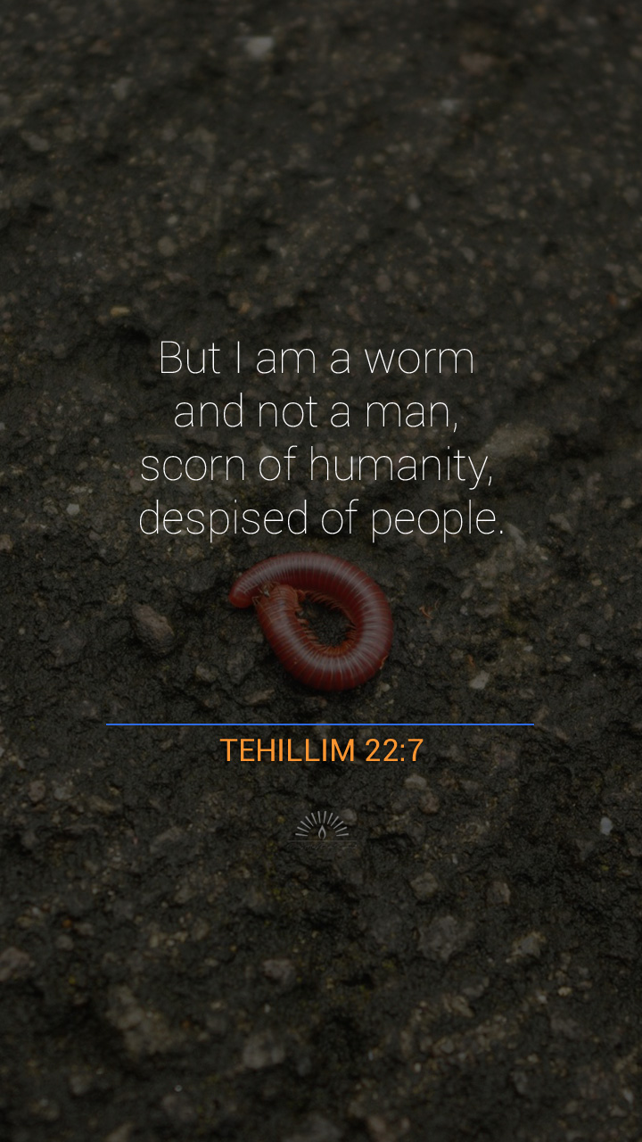 Psalms Chapter 22 | Daily Holy Bible Reading