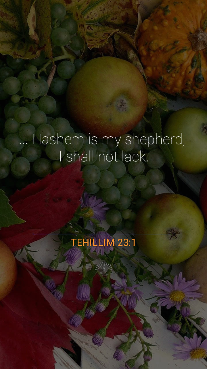 Psalms Chapter 23 | Daily Holy Bible Reading
