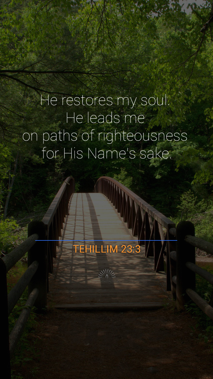 Psalms Chapter 23 | Daily Holy Bible Reading