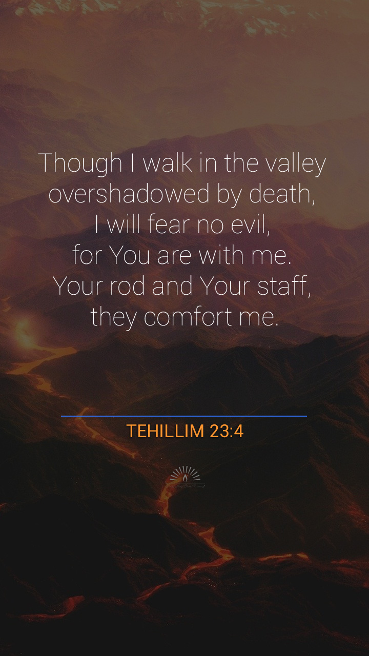 Psalms Chapter 23 | Daily Holy Bible Reading