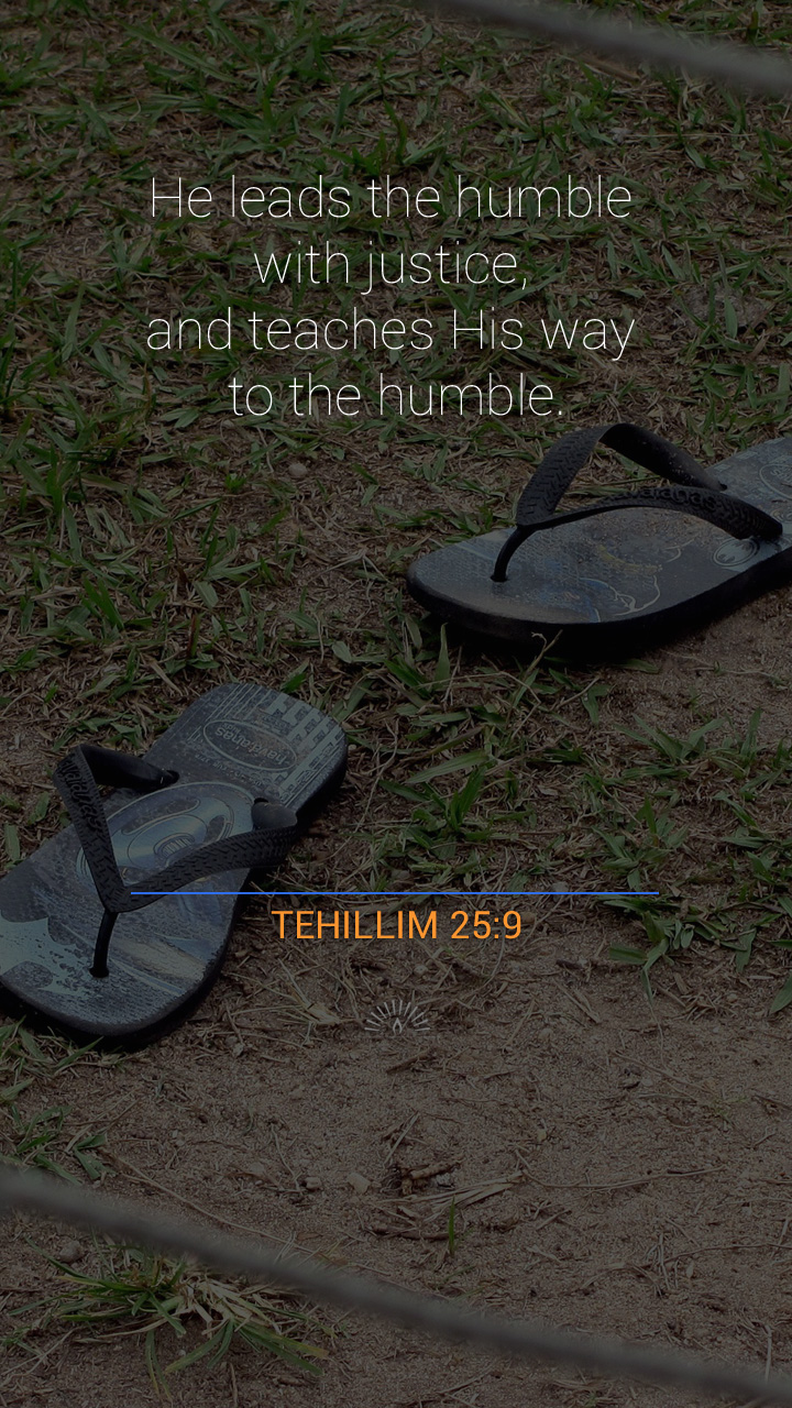 Psalms Chapter 25 Daily Holy Bible Reading