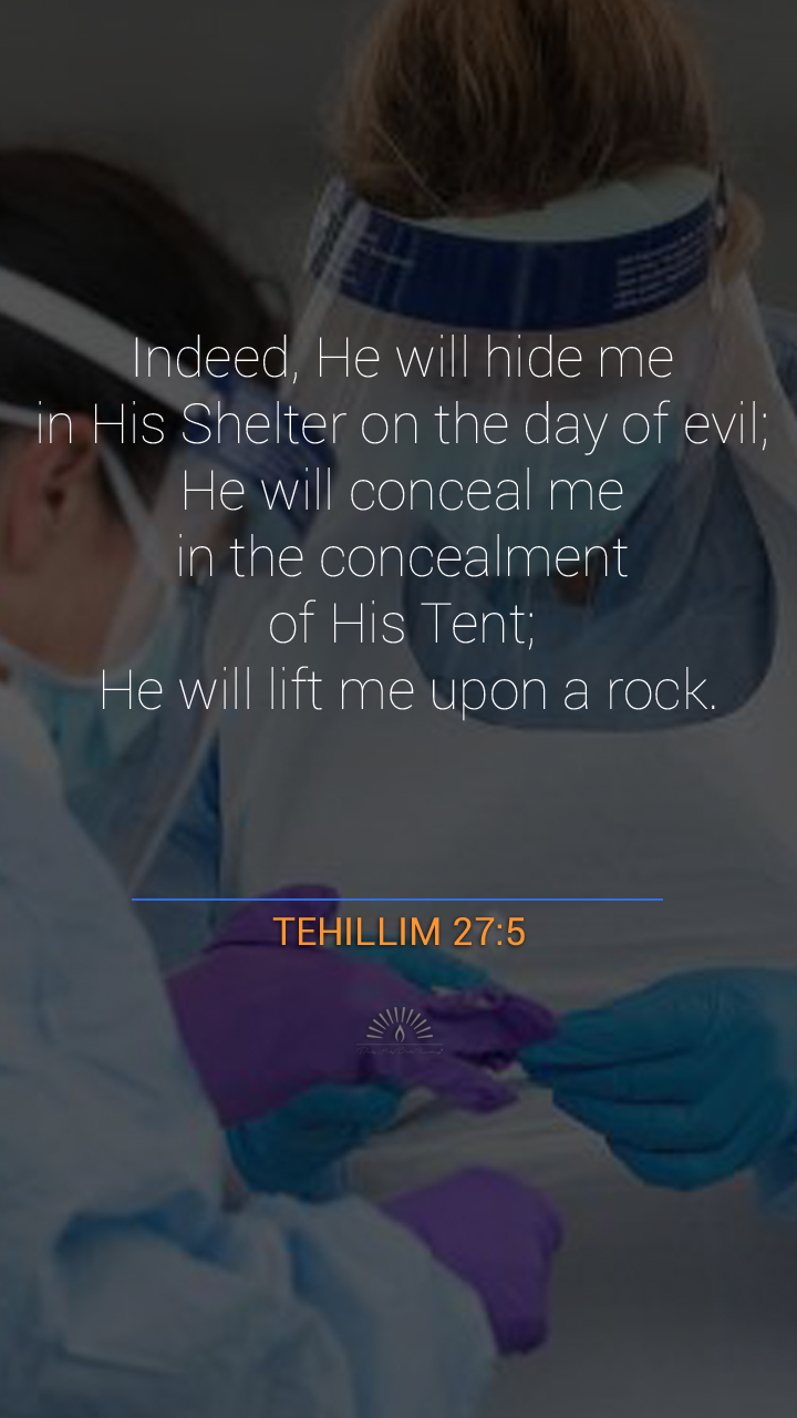 Psalms Chapter 27 | Daily Holy Bible Reading