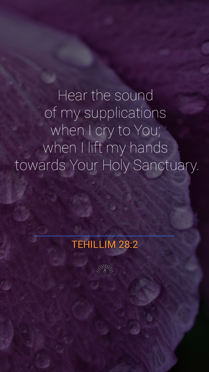 Psalms Chapter 28 | Daily Holy Bible Reading