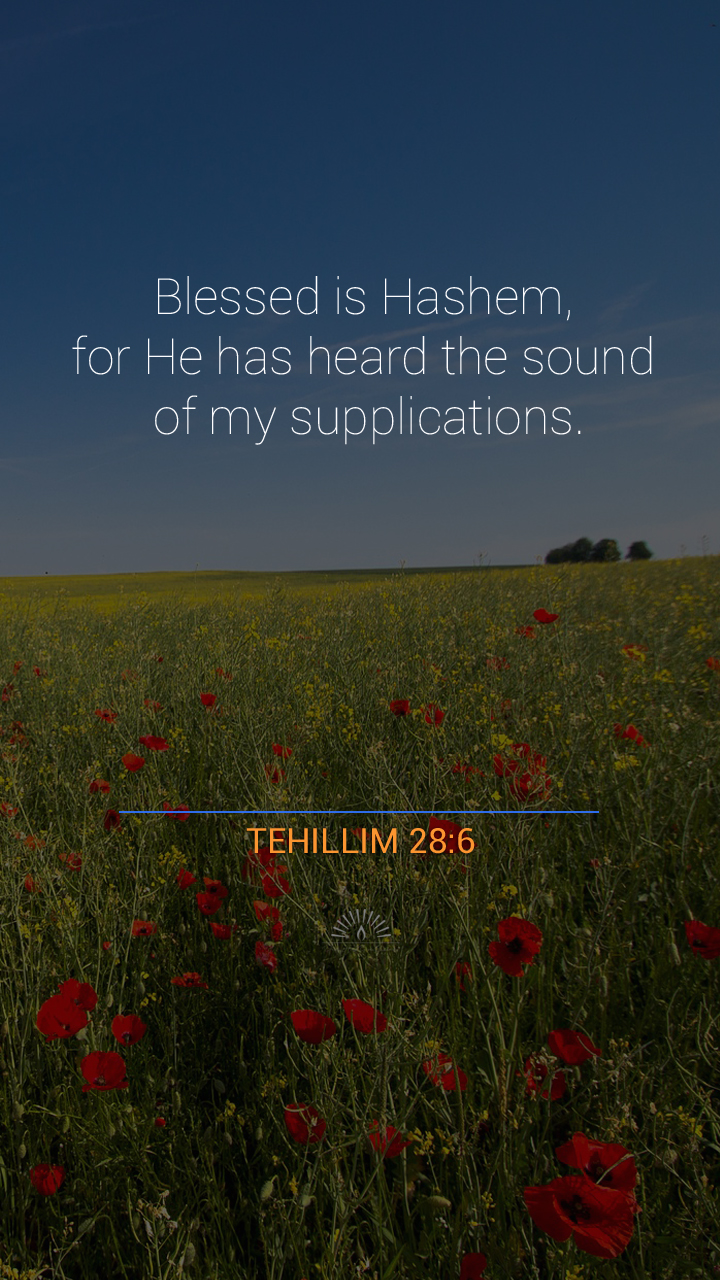 Psalms Chapter 28 | Daily Holy Bible Reading