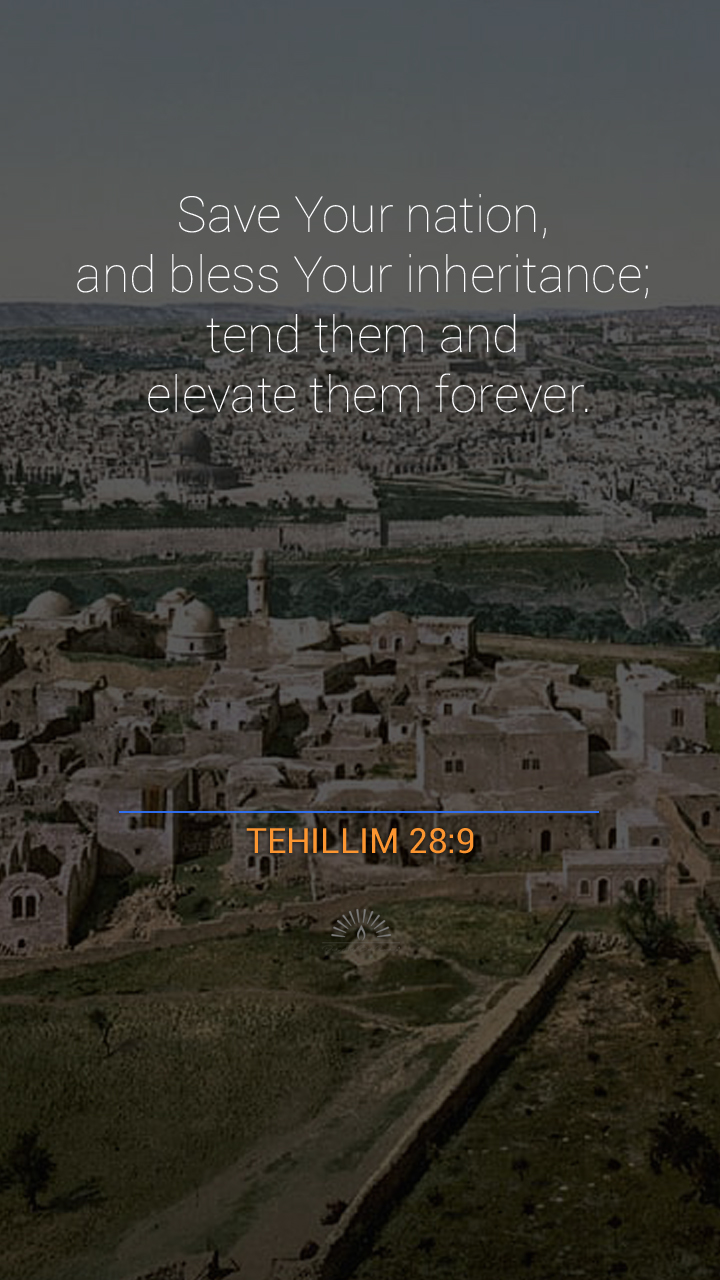 Psalms Chapter 28 | Daily Holy Bible Reading