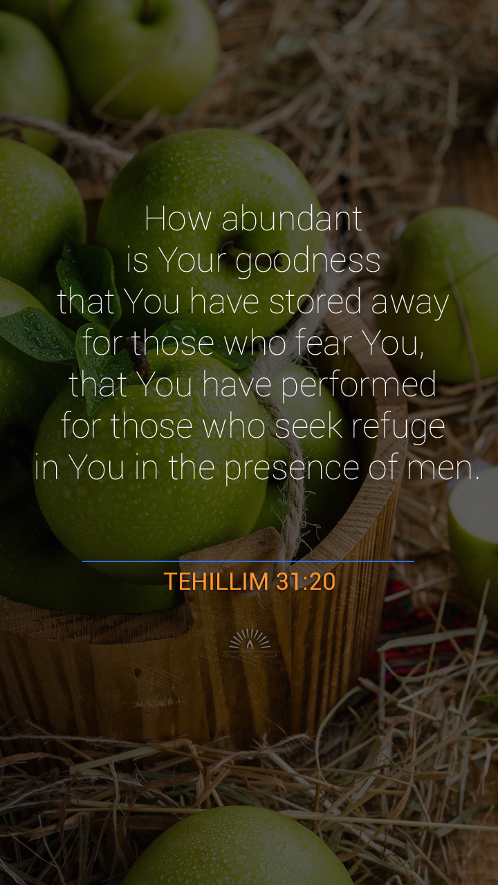 Psalms Chapter 31 | Daily Holy Bible Reading