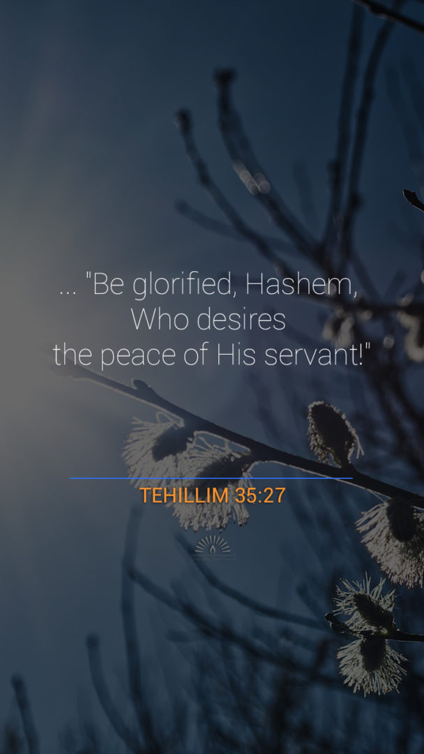 This Is TRUTH | NOT What YOU BELIEVE. But As G-D REVEALED.