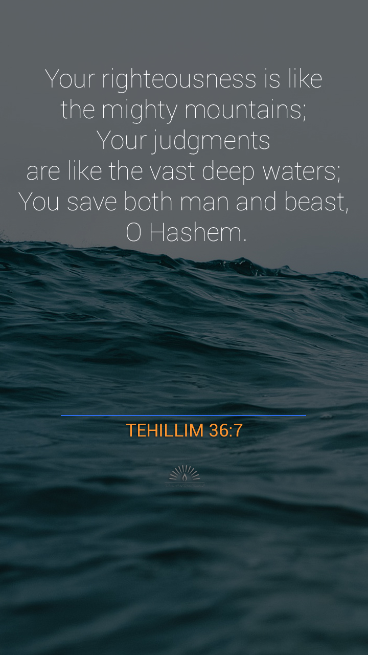 Psalms Chapter 36 | Daily Holy Bible Reading